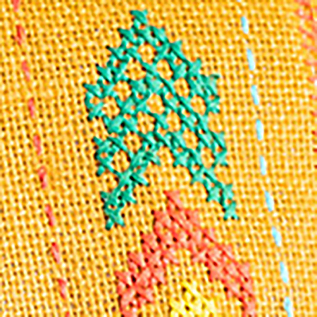 Rajasthan Embroidery – Craftribute